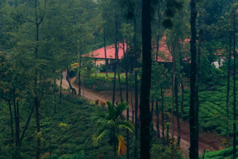 Plantation Bungalow for Homestay in Koppa, Karnataka